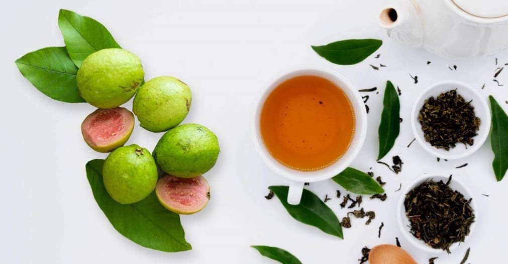 Guava Tea Bags: Benefits & Preparation Guide - Ancata Shop